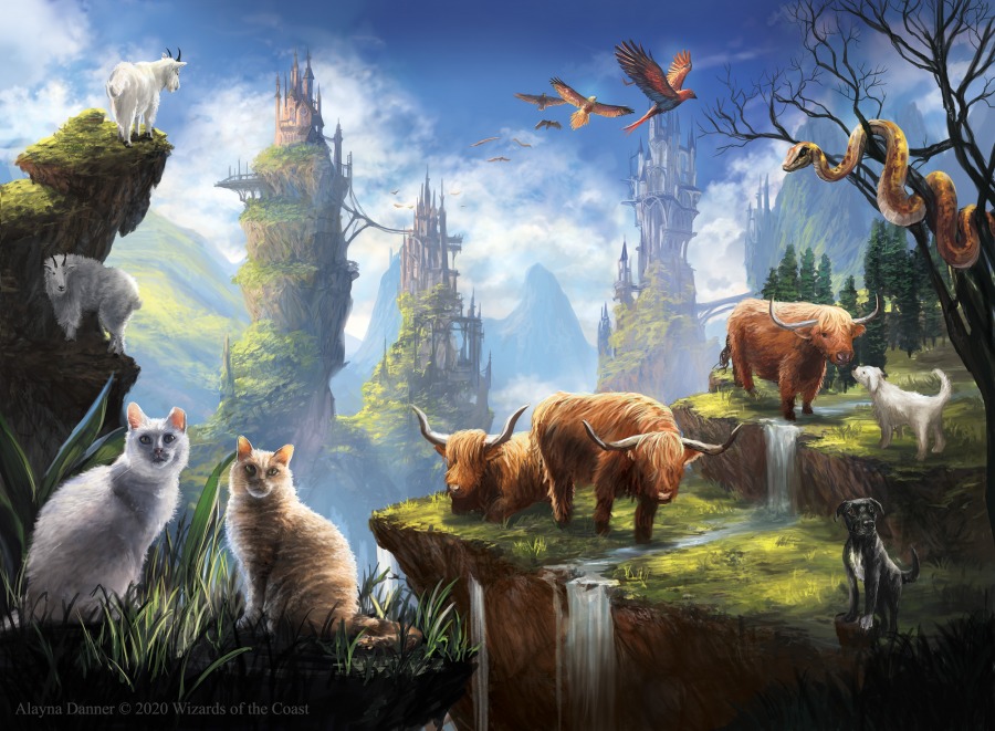 A Day in Animal Land – The Creative Chronicles of Dave Stancliff